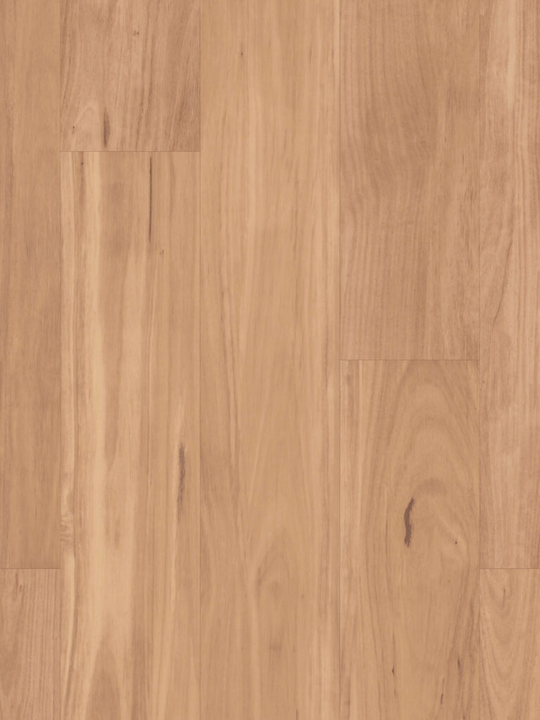 North Coast Blackbutt - Karma Flooring