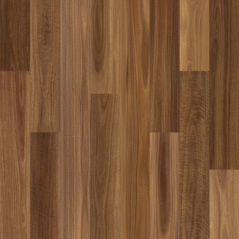 Spotted Gum Digital Print Laminate - Karma Flooring
